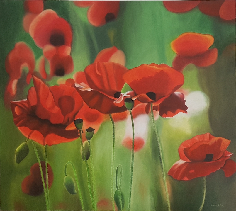 Mohnblumen - Kunstgalerie, Originale, Bilder