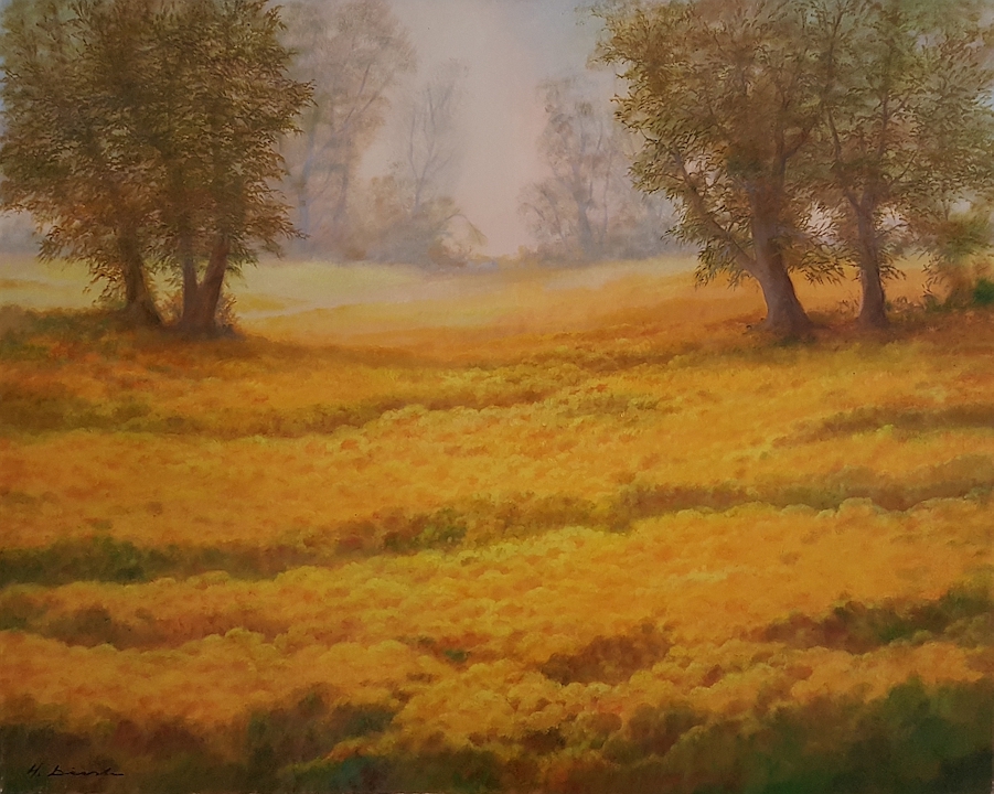 HERMANN DIESTE: Goldene Aue im Morgennebel - Kunstgalerie, Originale ...