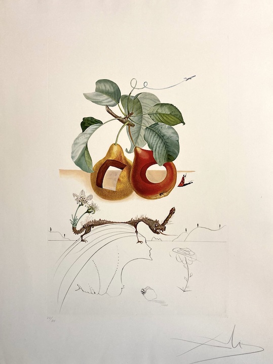 SALVADOR DALI: Fruits troués - Kunstgalerie, Originale, Bilder